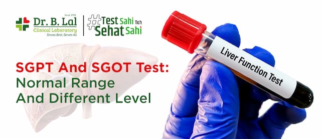 Different Level & Normal Range of SGPT and SGOT Test | Dr. B. Lal Labs